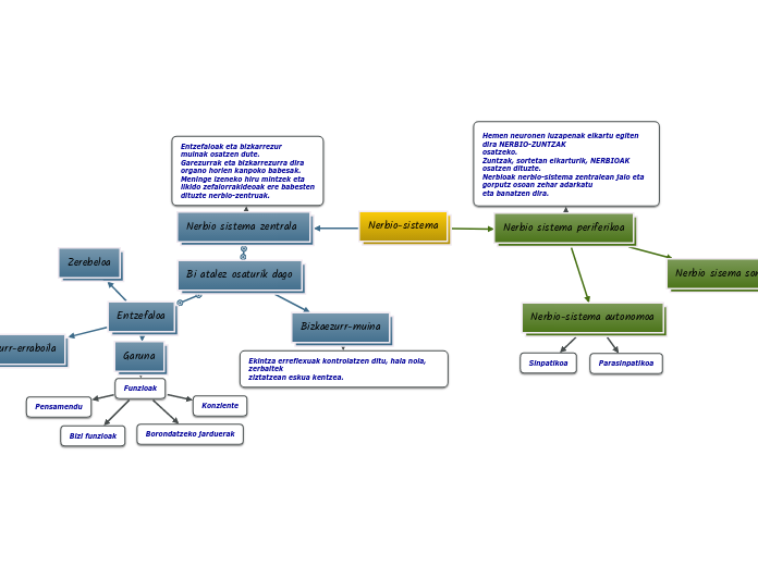 Nerbio-sistema - Mind Map